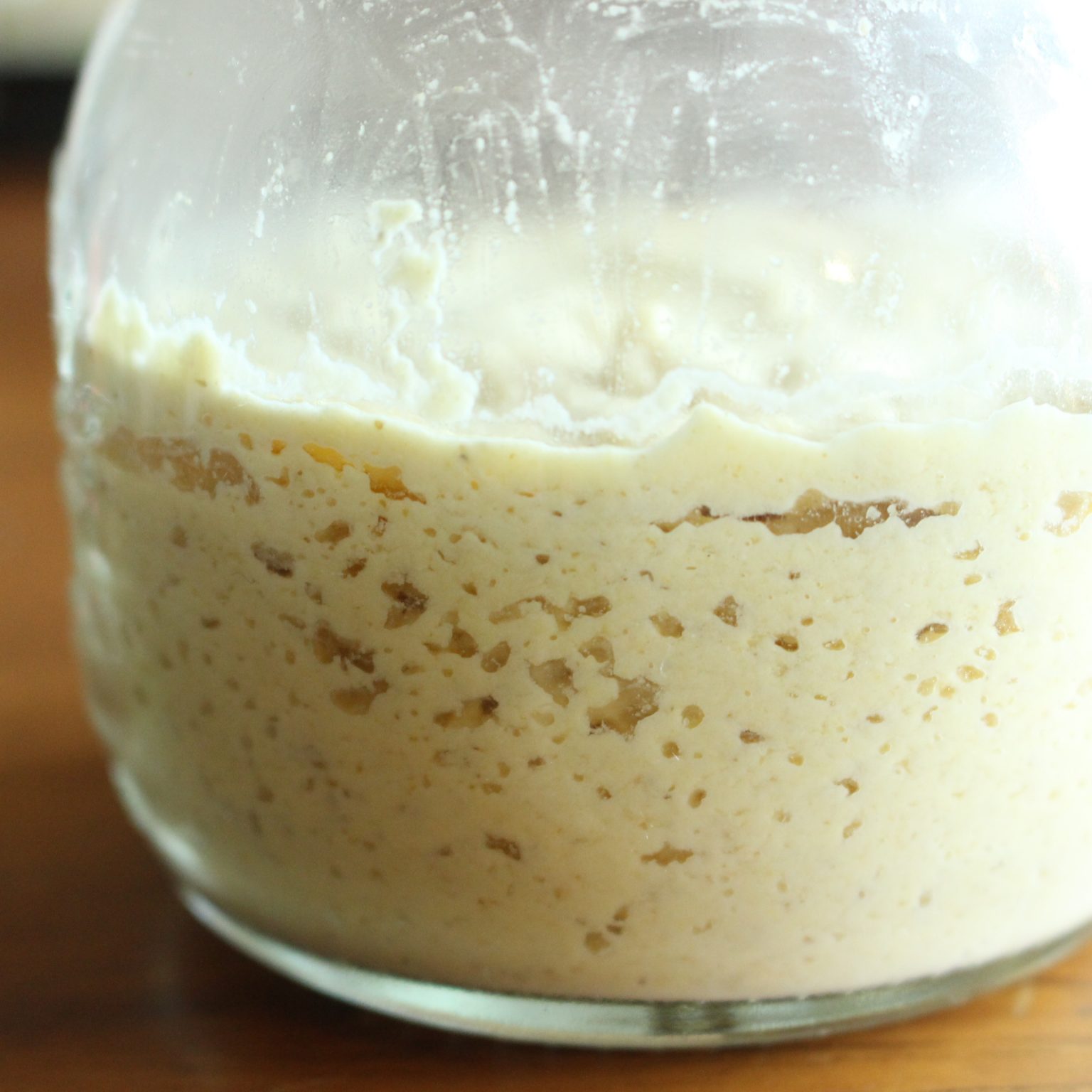 How to Create a Gluten-Free Sourdough Starter – Ancestral Kitchen