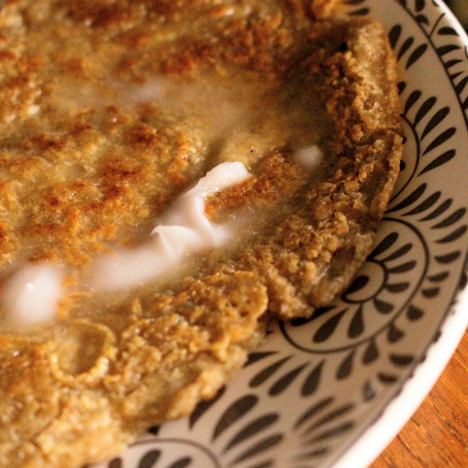 Naturally-Fermented Staffordshire Oatcakes – Ancestral Kitchen