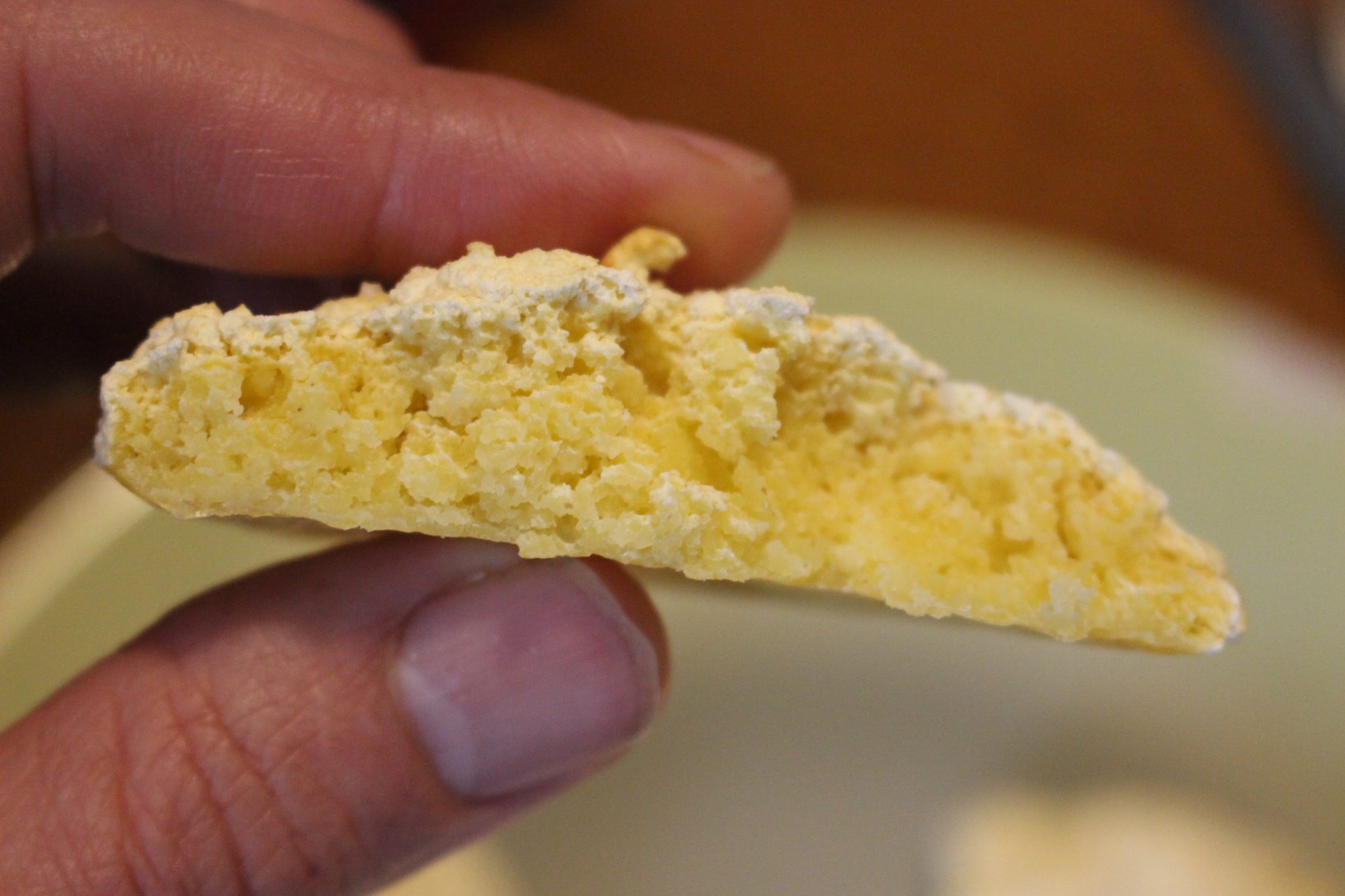 Sourdough Millet Crackers – Ancestral Kitchen